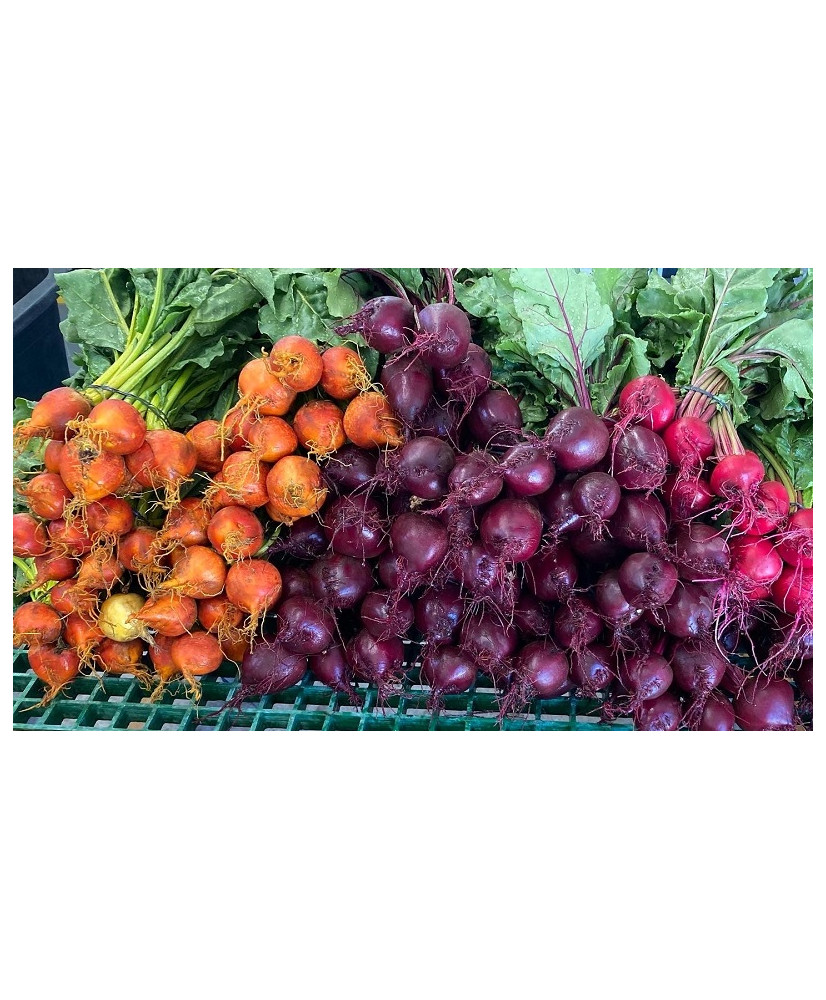 Beets