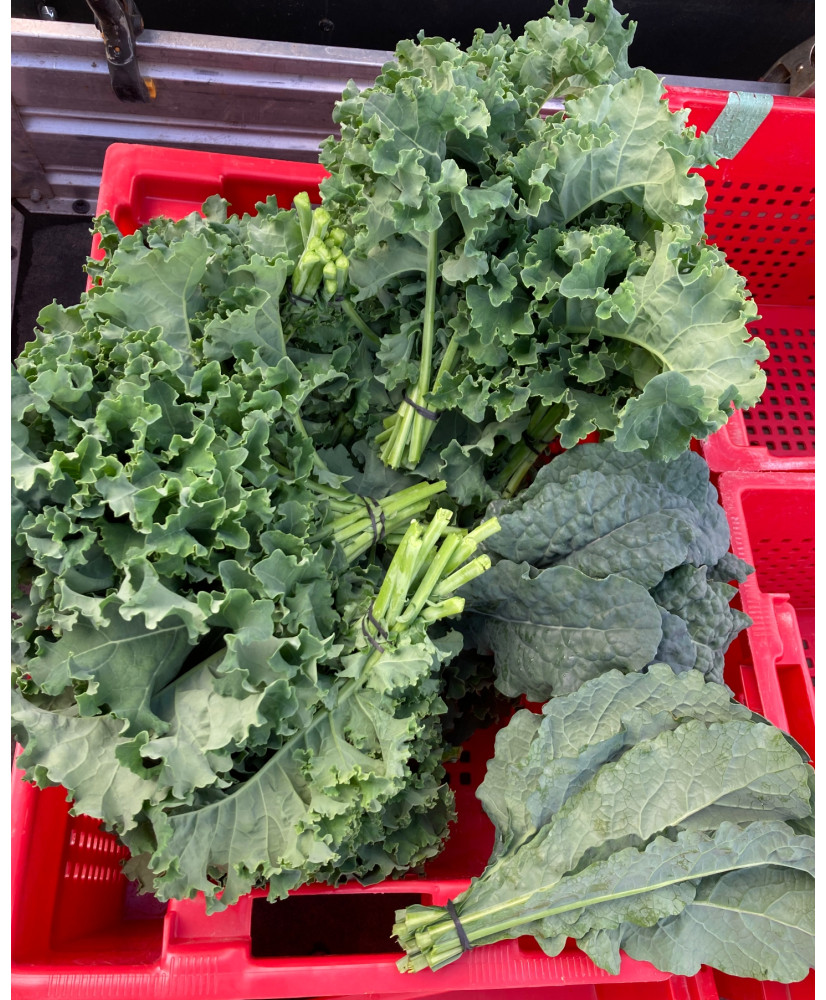 Kale
